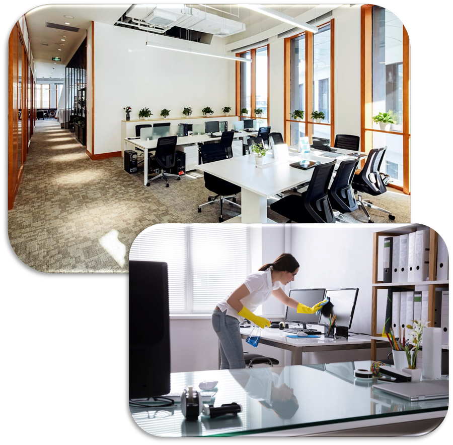 Office Cleaning In Philadelphia | Keep It Clean With Raylene